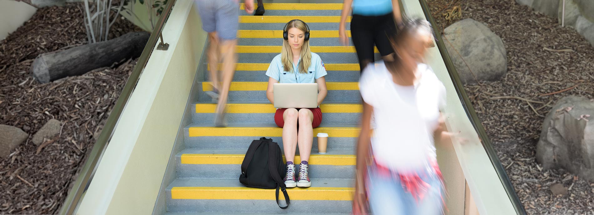 Request a study guide