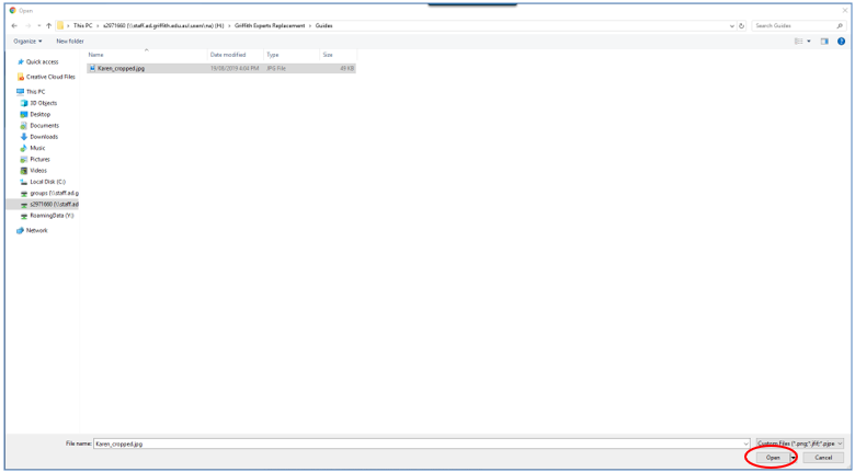 Griffith Experts Support