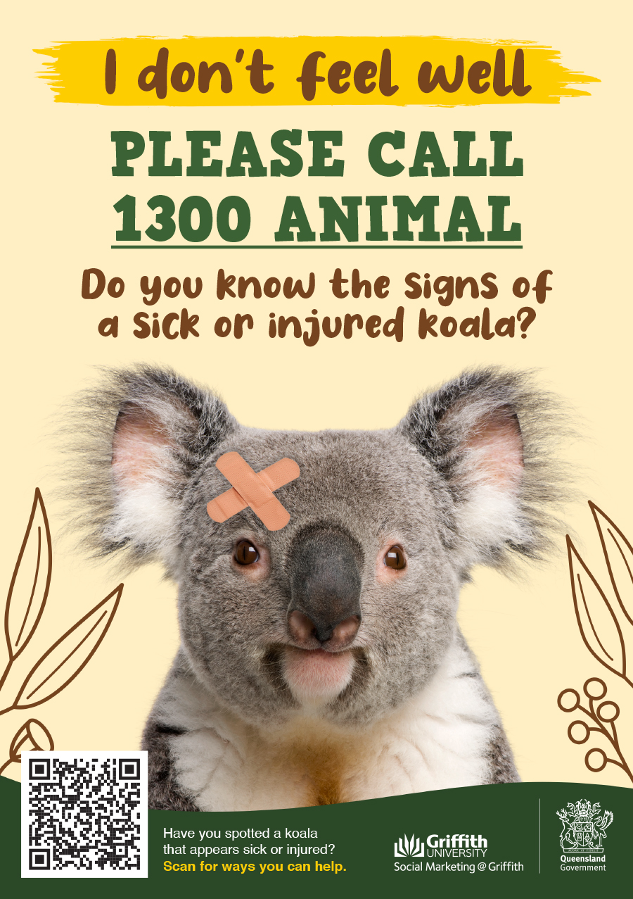 Resources to Help Protect Koalas | Wildlife Watcher