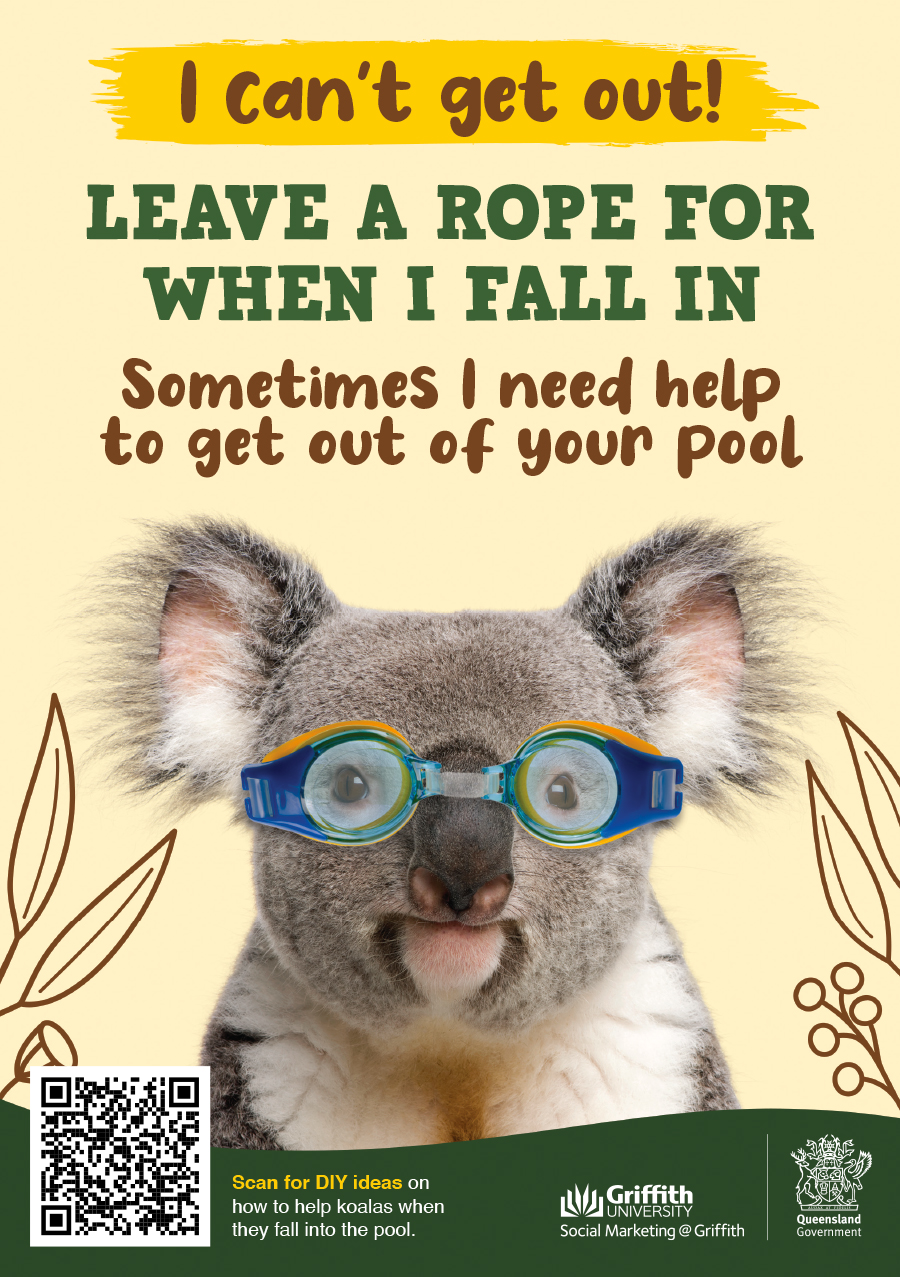 Resources to Help Protect Koalas | Wildlife Watcher
