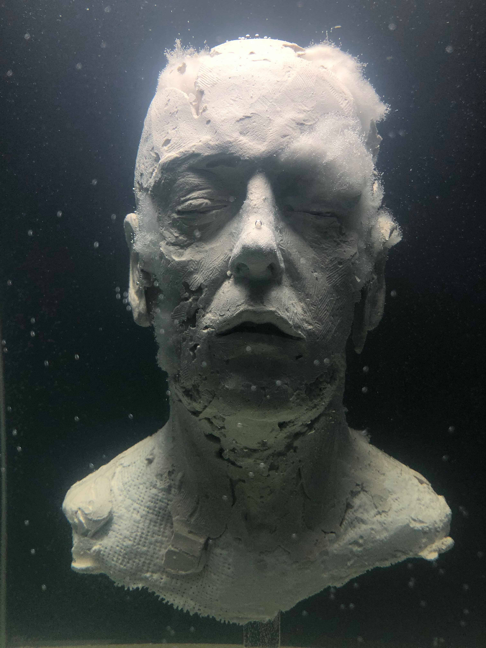 Jacques van der Merwe Vestige