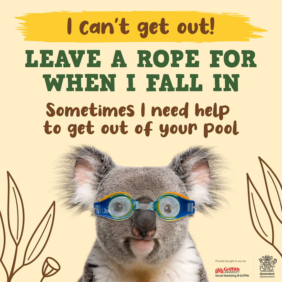 Resources to Help Protect Koalas | Wildlife Watcher