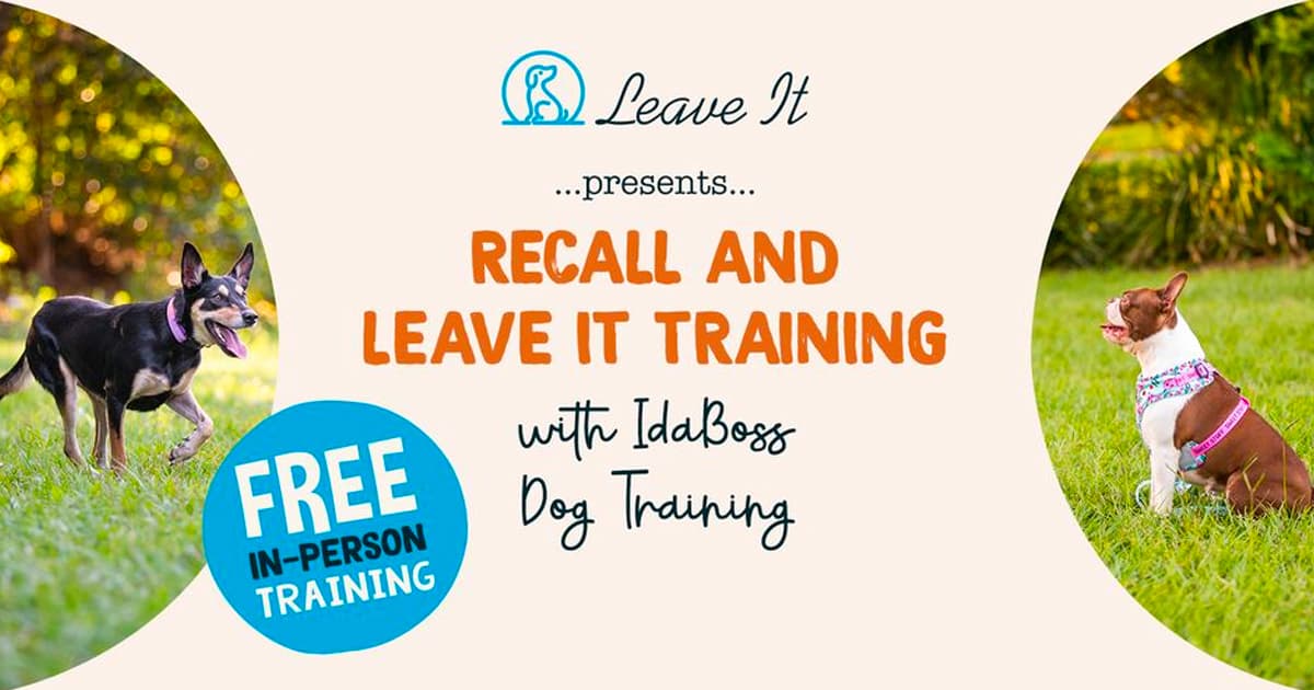 Upcoming events at Social Marketing @ Griffith